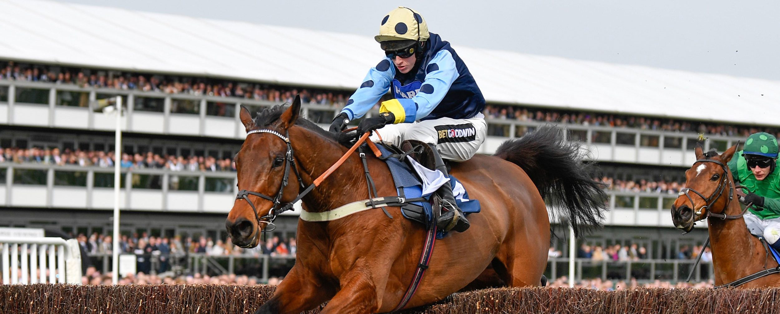 Alan King Racing, dual-purpose Grade 1 and Group 1 racehorse trainer ...