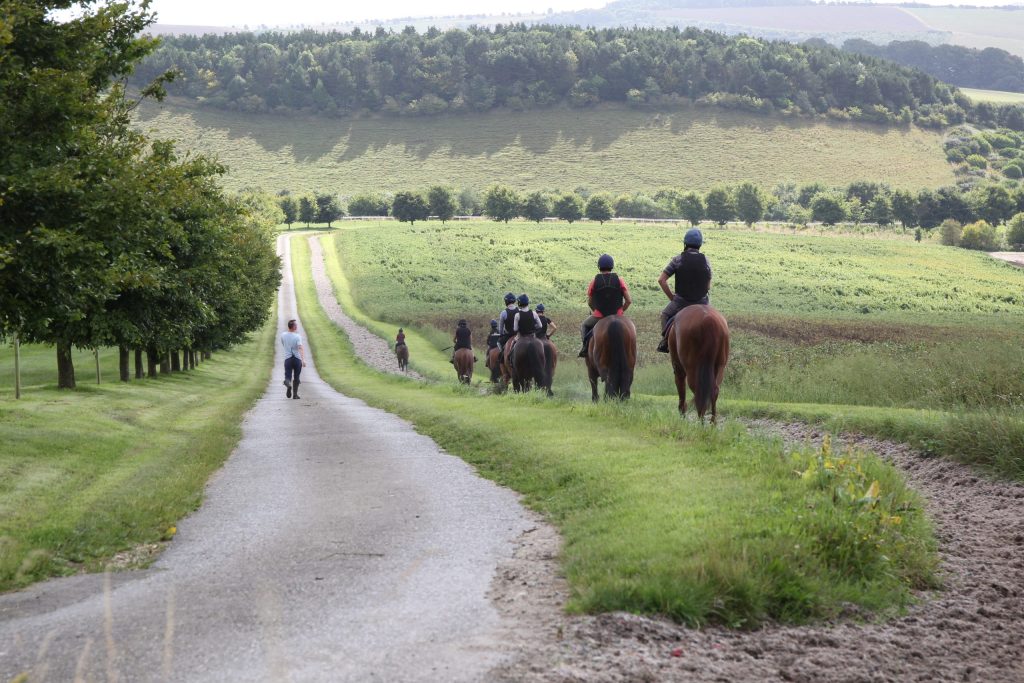 Gallops | Alan King Racing – Dual-purpose Racehorse Trainer