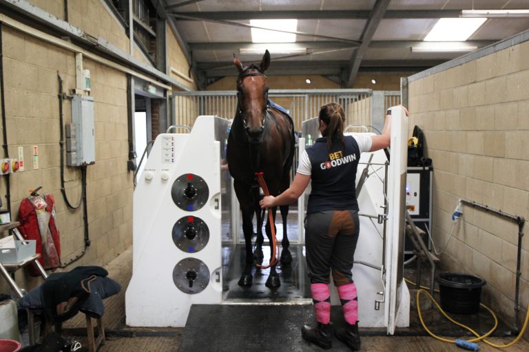 Alan King Stable Visit. 2nd Lot. 26/7/2024 Pic Steve Davies | Alan King ...