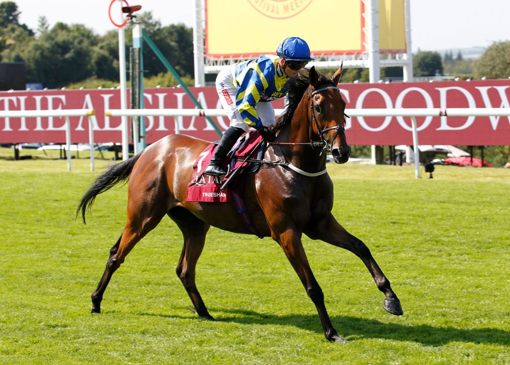 Alan King Racing, dual-purpose Grade 1 and Group 1 racehorse trainer ...