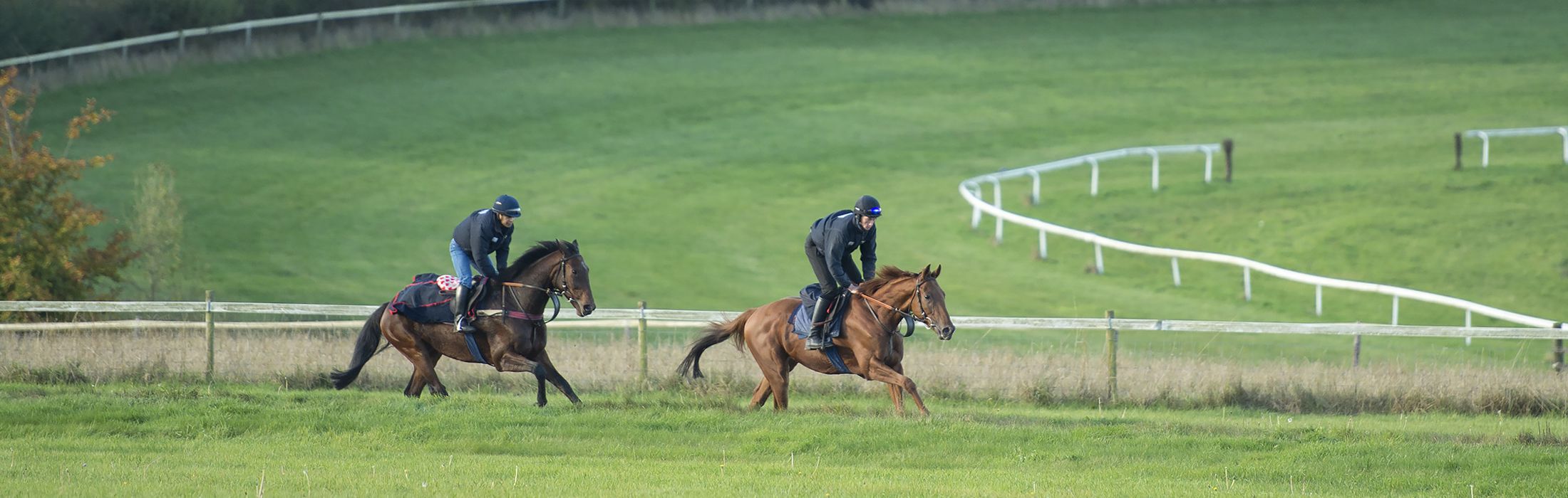 Alan King | Alan King Racing – Dual-purpose Racehorse Trainer