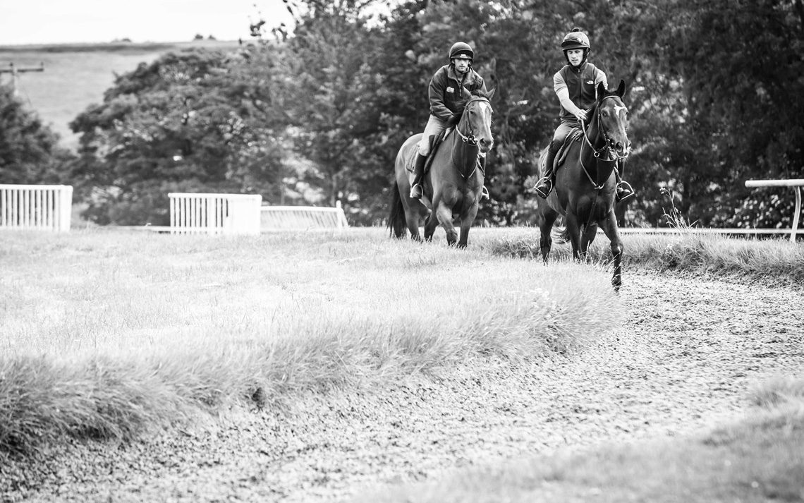 Stable Tours | Alan King Racing – Dual-purpose Racehorse Trainer